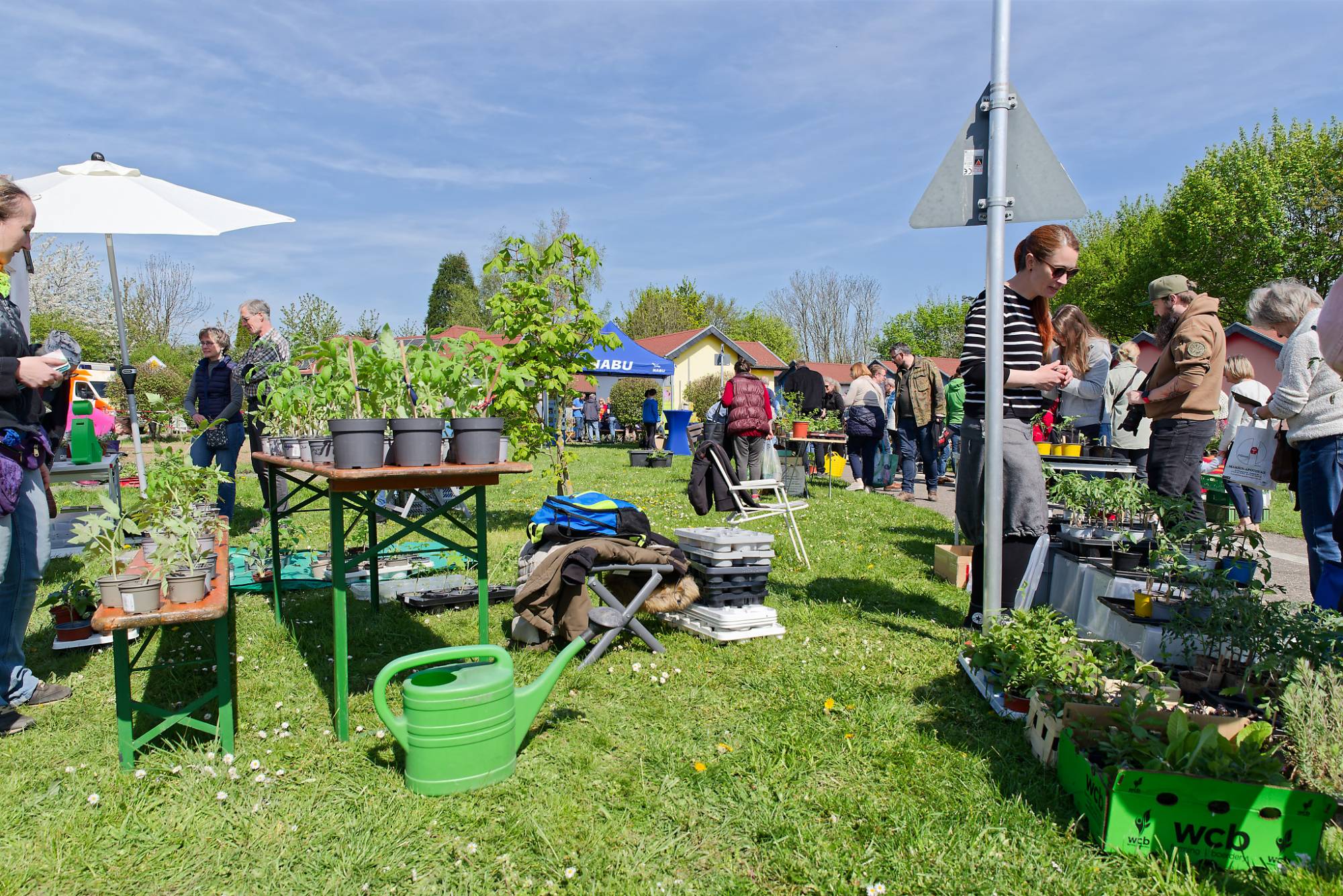 Das war die Pflanzenbörse 2023 – NABU-Aachen