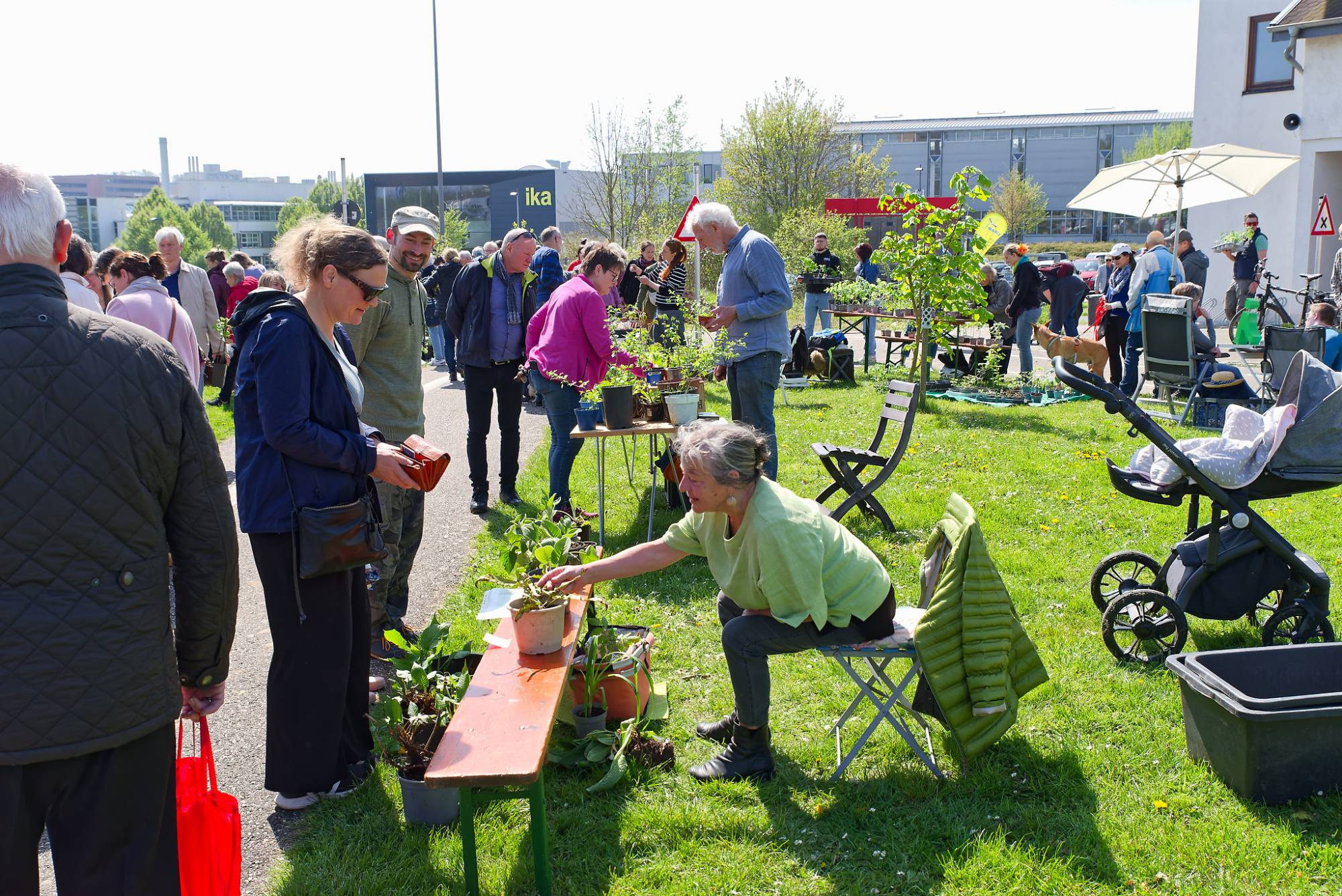Das war die Pflanzenbörse 2023 – NABU-Aachen
