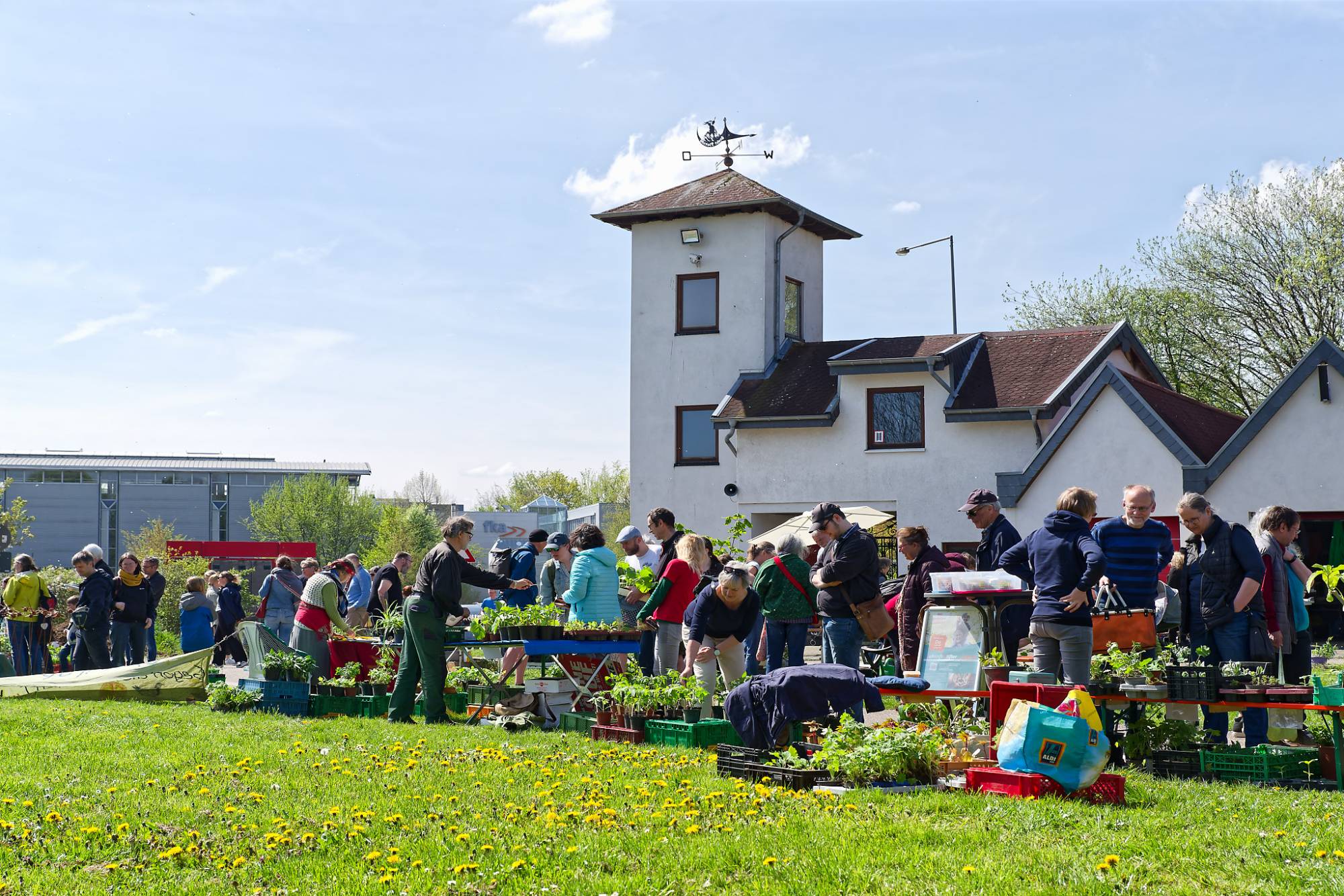 Das war die Pflanzenbörse 2023 – NABU-Aachen